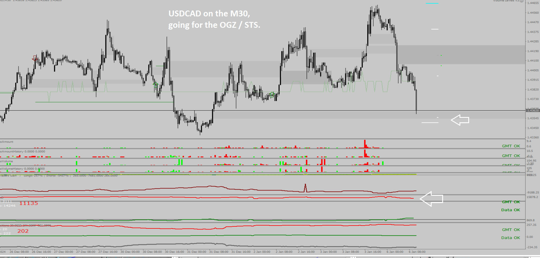 06/01/2025 USDCAD (STS) - SME-FX