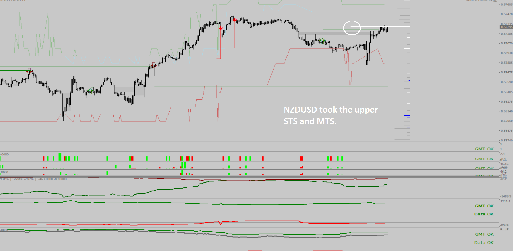 19/02/2025 NZDUSD (STS taken) - SME-FX